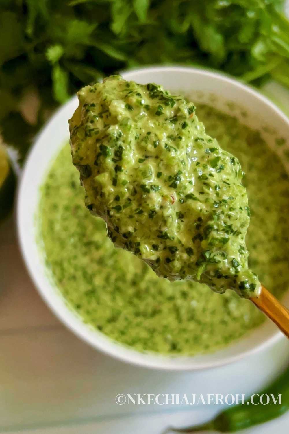 Homemade Cilantro Lime Marinade (Vegan) - Nkechi Ajaeroh